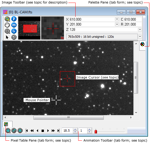 Mira Pro x64 User's Guide - Image Windows